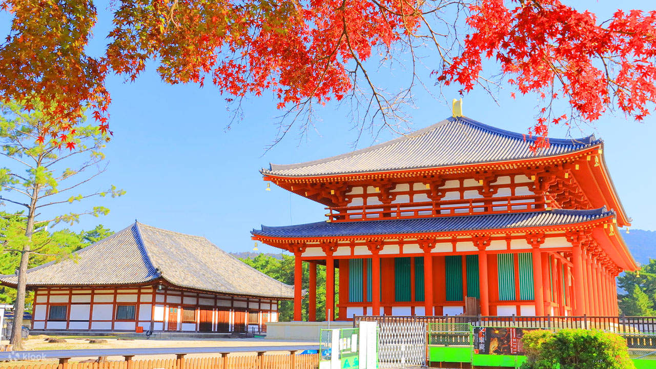 [One-Day Uji Nara Onsen Tour] Nara Park with Deer Crackers + Todai-ji ...